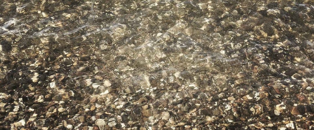 Zander Fortpflanzung: Wann und wo laicht der Zander?