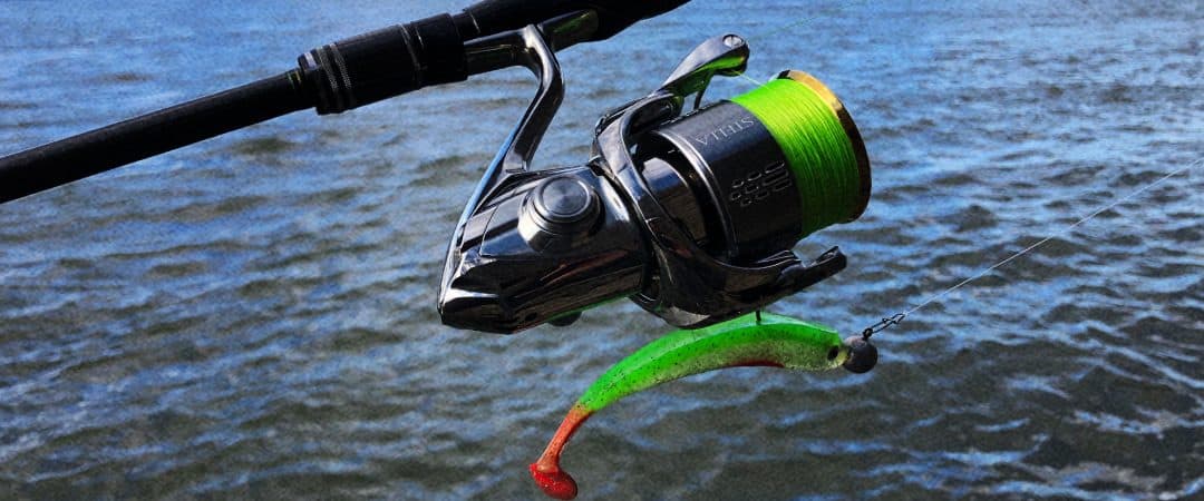 Angelrolle für Zander - Mit der richtigen Rolle zum Fisch