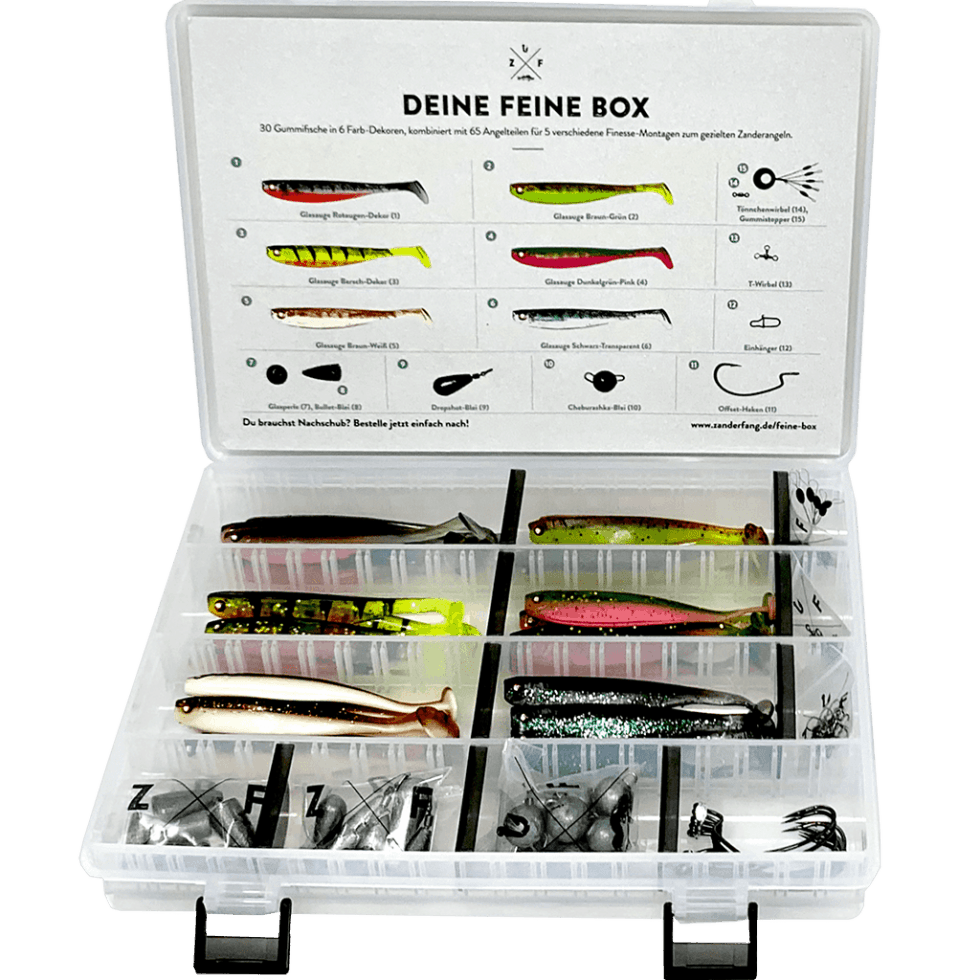 Mit dem Kick Back Rig auf Zander und Co. angeln - Zanderfang