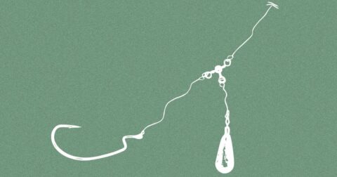 Mit dem Kick Back Rig auf Zander und Co. angeln - Zanderfang