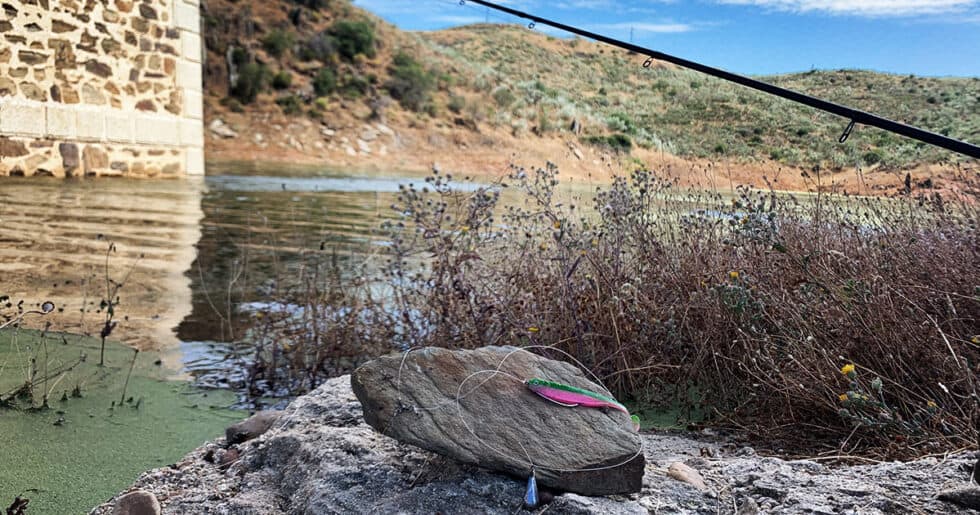 Mit dem Kick Back Rig auf Zander und Co. angeln - Zanderfang